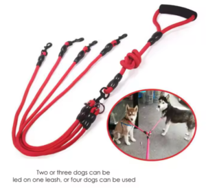 The Complete Guide To Different Types Of Dog Leashes - Best Custom Dog ...